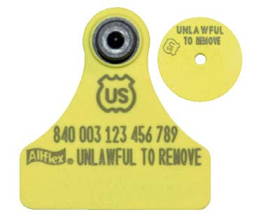 Ear Tag: Allflex Global sheep junior tag | CCK Outfitters