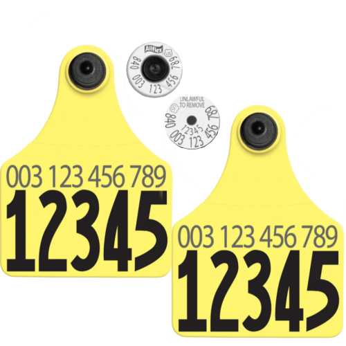 RFID Dairy Double Ear Tags: Pair of Allflex maxi visual tags with EID ...