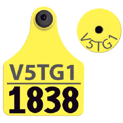 TPWD Deer Ear Tag: Allflex Large deer tag with unique TWIMS and ...