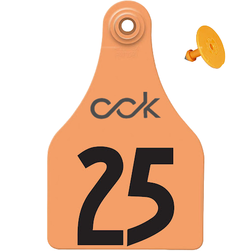 Custom Both Sides Ear Tag with Button: Allflex 2 piece Super Maxi tag ...