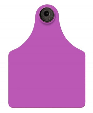 RFID HDX Matched Set Custom Both Sides Ear Tag: Allflex Maxi visual tag ...