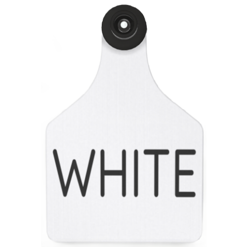 Custom Ear Tag with Button: Ritchey Universal Cow Engraveable 2 Piece ...