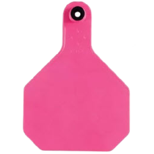 RFID FDX Dairy Double Ear Tags: Pair of Y-Tex large blank visual tags ...