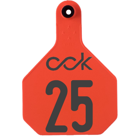 Custom Both Sides Tag: Y-Tex large ear tag for equipment, vineyard rows ...