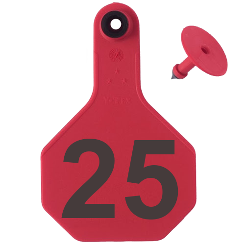 Bag of 100 Pre-Numbered Ear Tags: Y-Tex 2 piece medium tag for calves ...