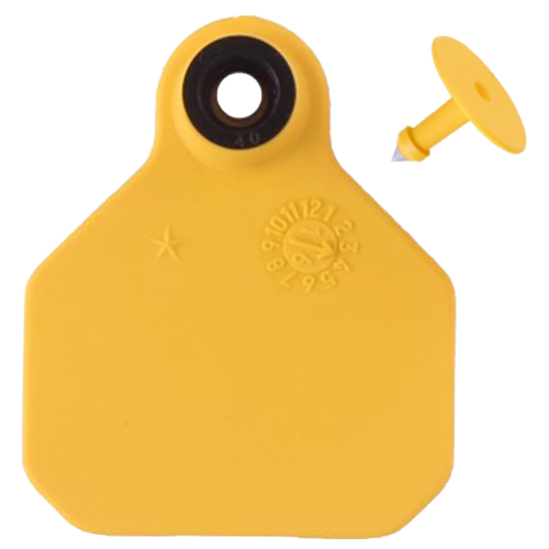 Blank Ear Tag with Button: Y-Tex 2 piece mini tag for goats, sheep ...
