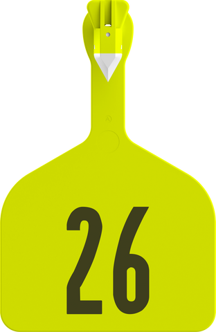 Numbered Both Sides Ear Tag: ZTag 1 piece feedlot tag for short term ...