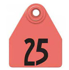 Custom Tag: Allflex Medium ear tag for equipment, key chains and ...