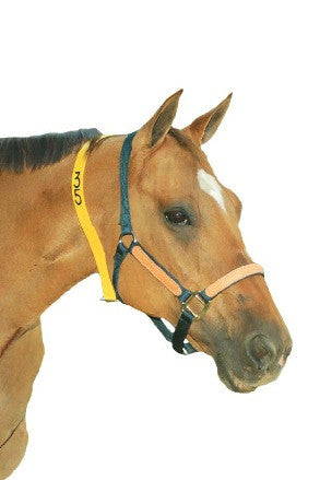 Bock Numbered Equine Neck Strap - Up to 3 Digits - 48" – CCK Outfitters