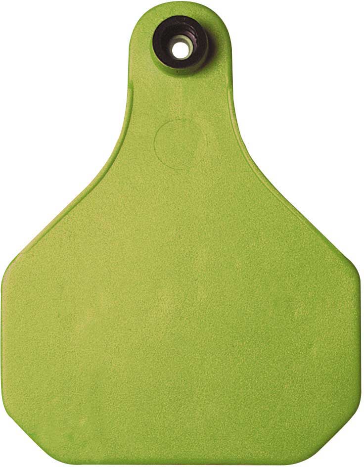 Y-Tex Insecticide Box of MAX40 Blank Tags With Buttons (20/box) - Orga ...