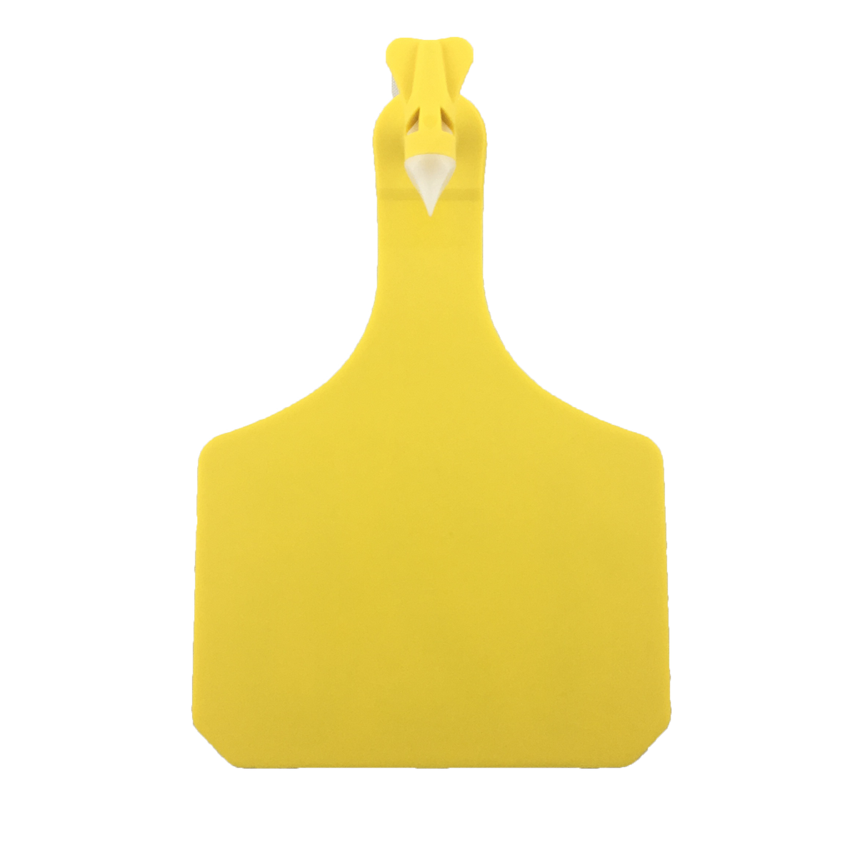Bag of 100 Blank Ear Tags: Y-Tex 1 piece medium calf Y-Tag for cattle ...