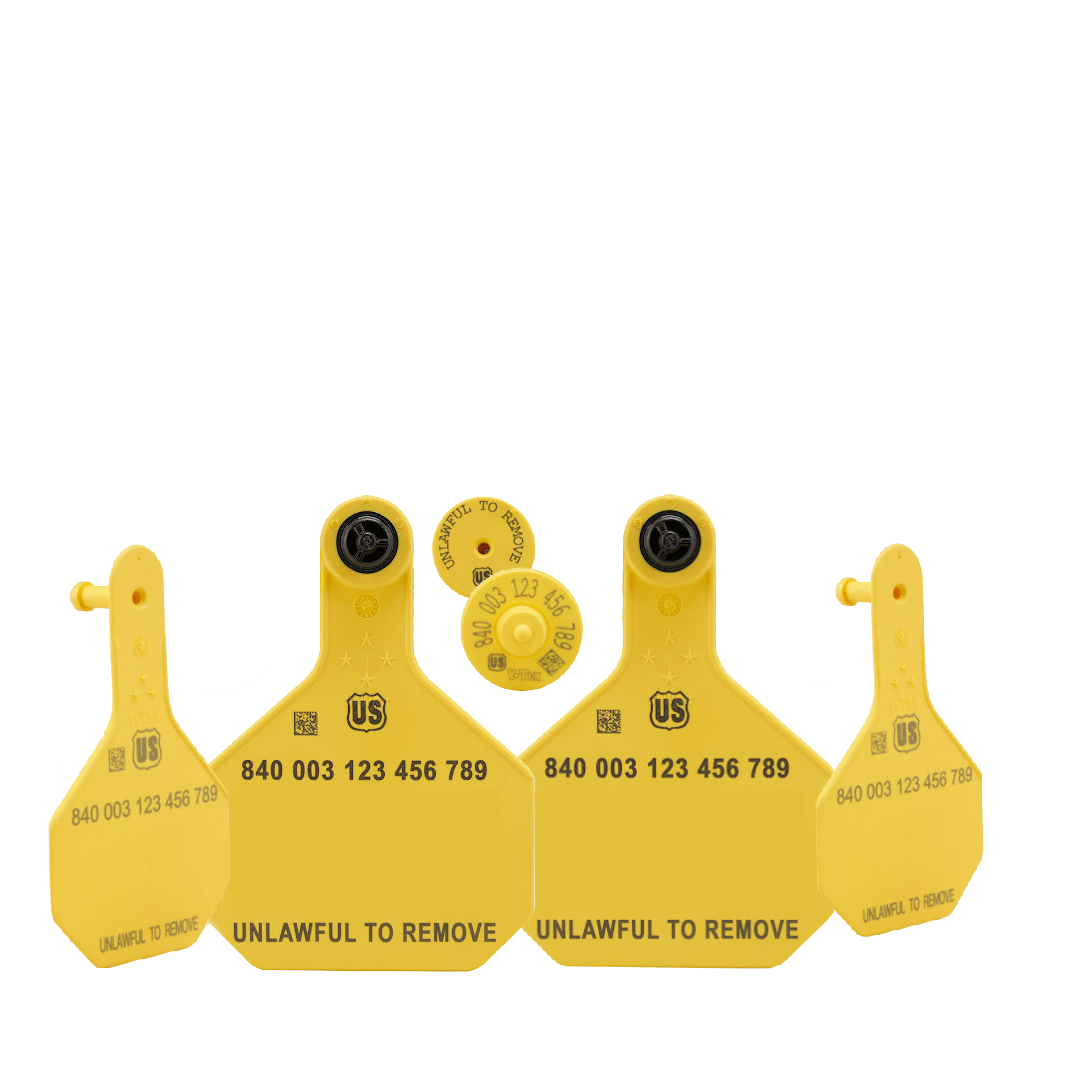 RFID HDX Dairy Double Ear Tag Sets: Pair of Y-Tex large female with ...