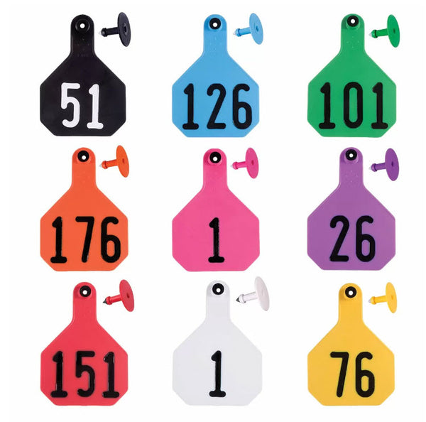 Y-TEX Large Numbered 1 Side Ear Tags with Blank Buttons (25/bag) – CCK ...