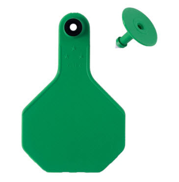 Y-Tex AA Medium 3* Custom 2 Sides Tag With Button – CCK Outfitters