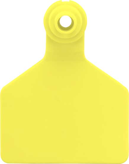 Custom Tag: Z Tag Stockman Large Custom Save the Date Tag AnnouncementZ ...