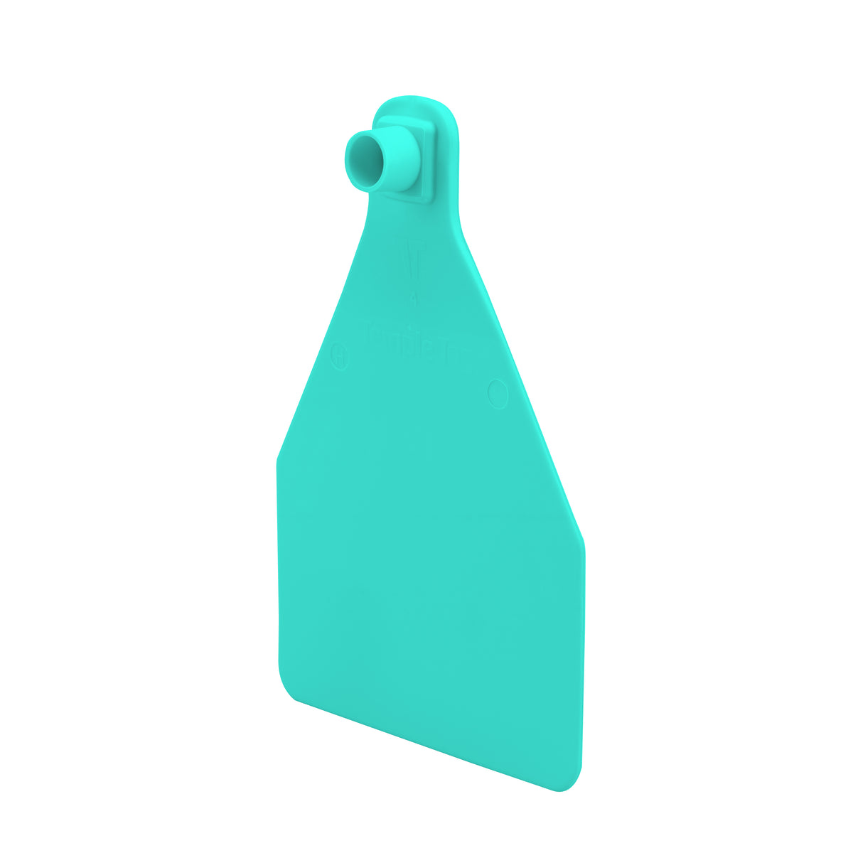 Temple Herdsman Medium Calf Numbered 1 Side Ear Tag with Blank Button ...