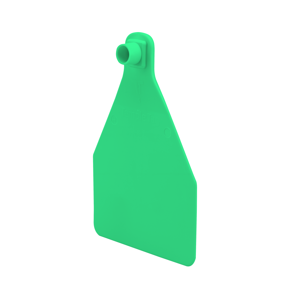 Temple Herdsman Medium Calf Custom 1 Side Ear Tag with Blank Button ...