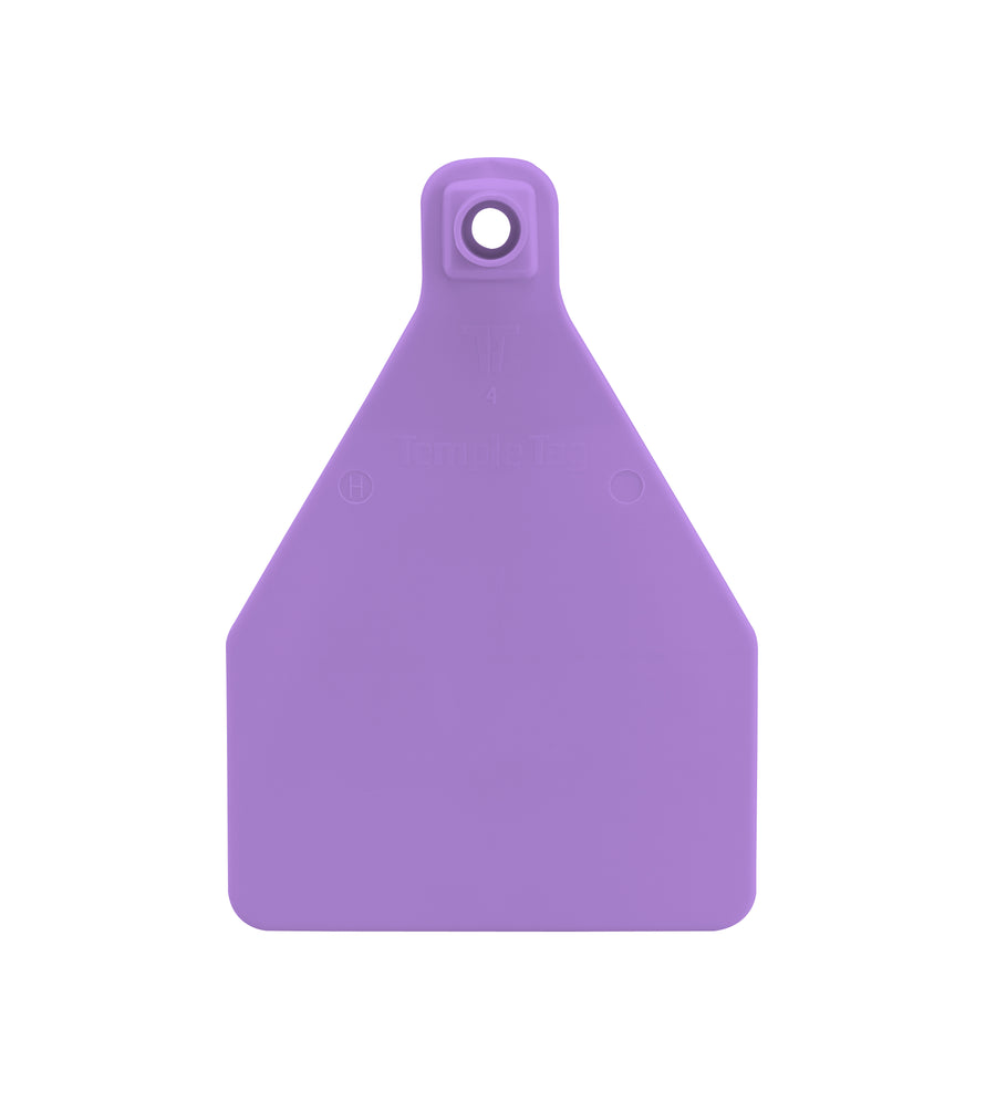 Temple Herdsman Large Cow Blank Ear Tags with Buttons (25/Bag) – CCK ...
