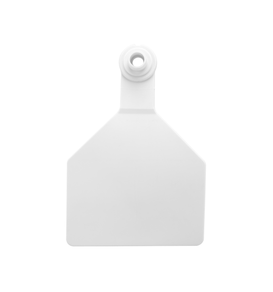 Custom Tag: Z Tag Stockman Large Custom Save the Date Tag AnnouncementZ ...